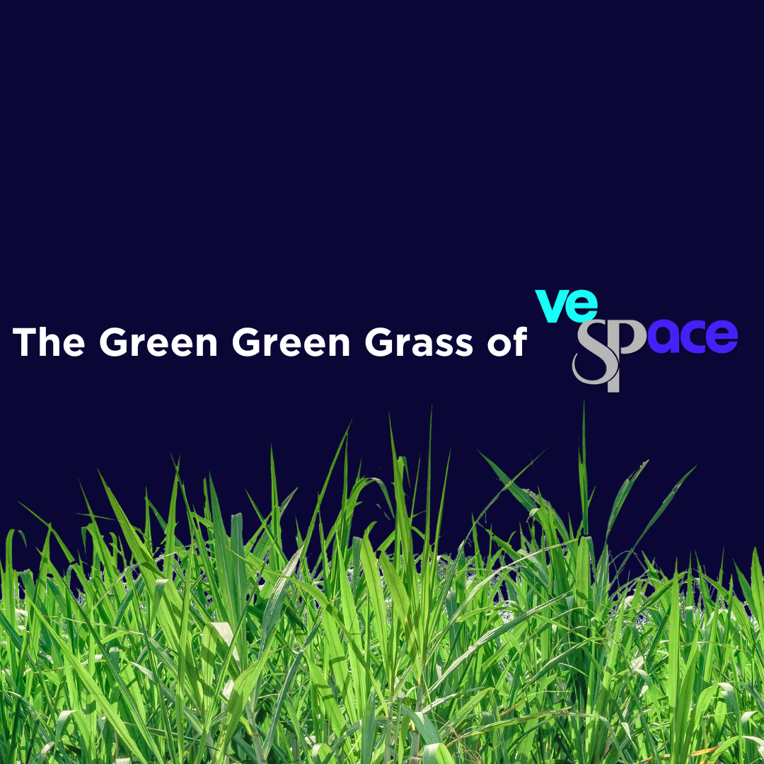 The Green Green Grass of veSpace - veSpace